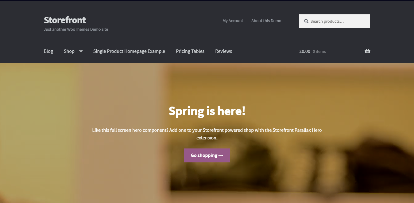Top 10 Wordpress theme for an Ecommerce Website - Go54 Blog