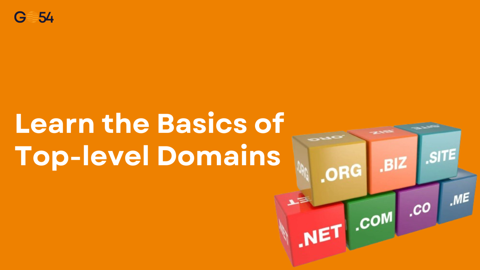 What Is a Top-Level Domain (TLD)? Types and Examples - Go54 Blog